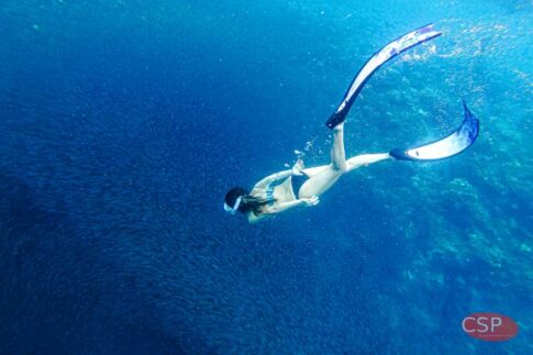 【保存版】セブ島アクティビティで絶対やるべきツアー25選 - CSPナビ