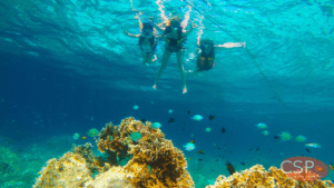 【ボラカイ島完全ガイド】魅力・行き方・観光アクティビティを解説｜セブ島との違いも紹介 - CSPナビ | セブ島ツアーならCSPトラベル