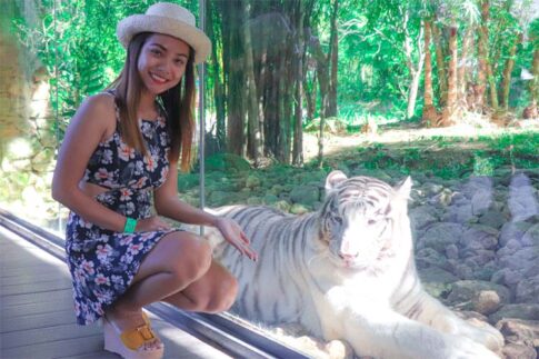 【保存版】セブ島アクティビティで絶対やるべきツアー25選 - CSPナビ