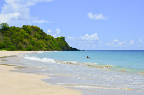 初めてでも安心！フィリピン・パラワン島旅行ガイド｜絶景ビーチ・ホテル・治安まで徹底解説 - CSPナビ | セブ島ツアーならCSPトラベル