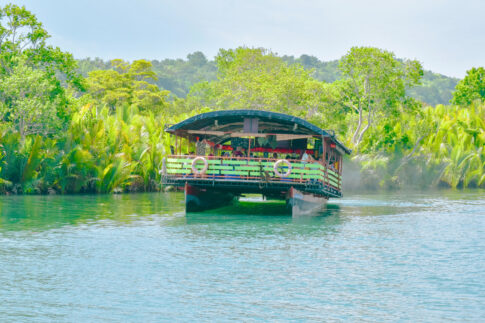 【絶景すぎる】世界でここだけ！チョコレートヒルズの行き方・見どころ・おすすめツアーまとめ - CSPナビ | セブ島ツアーならCSPトラベル